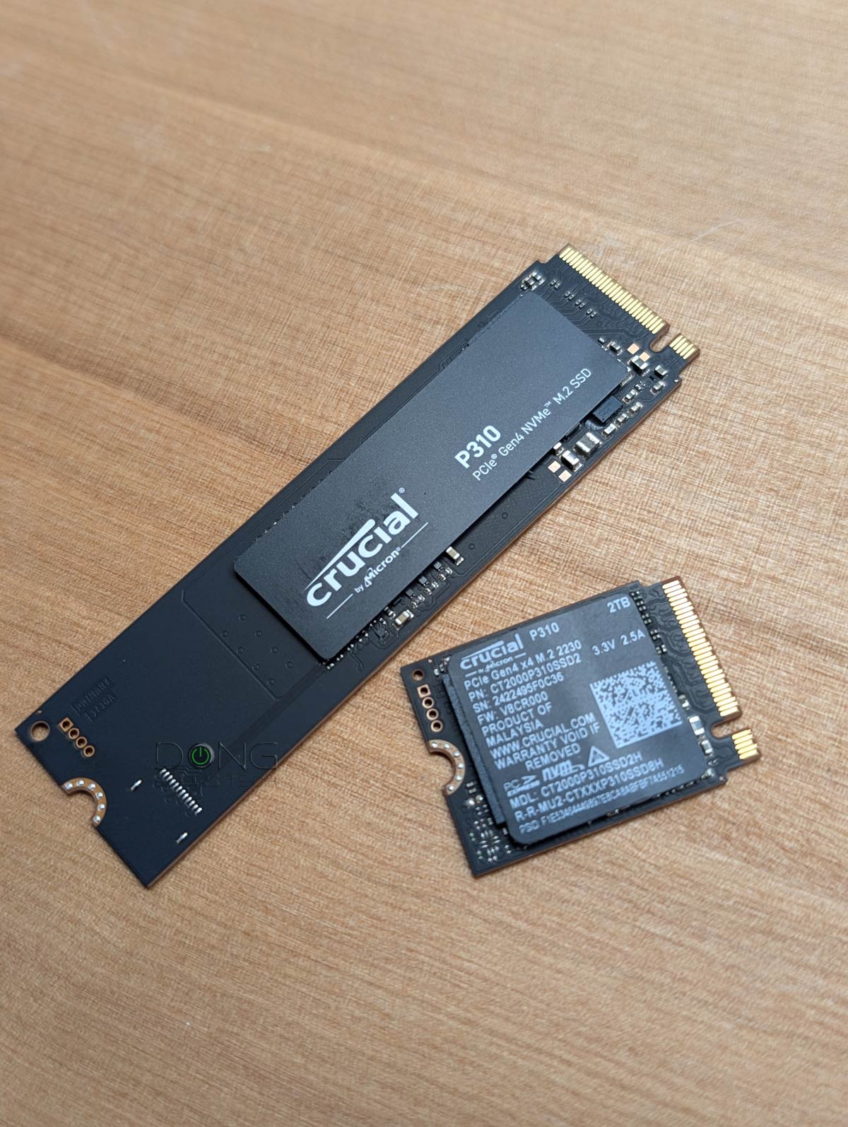 Crucial P310 2280: A Solid SSD, Extended | Dong Knows Tech